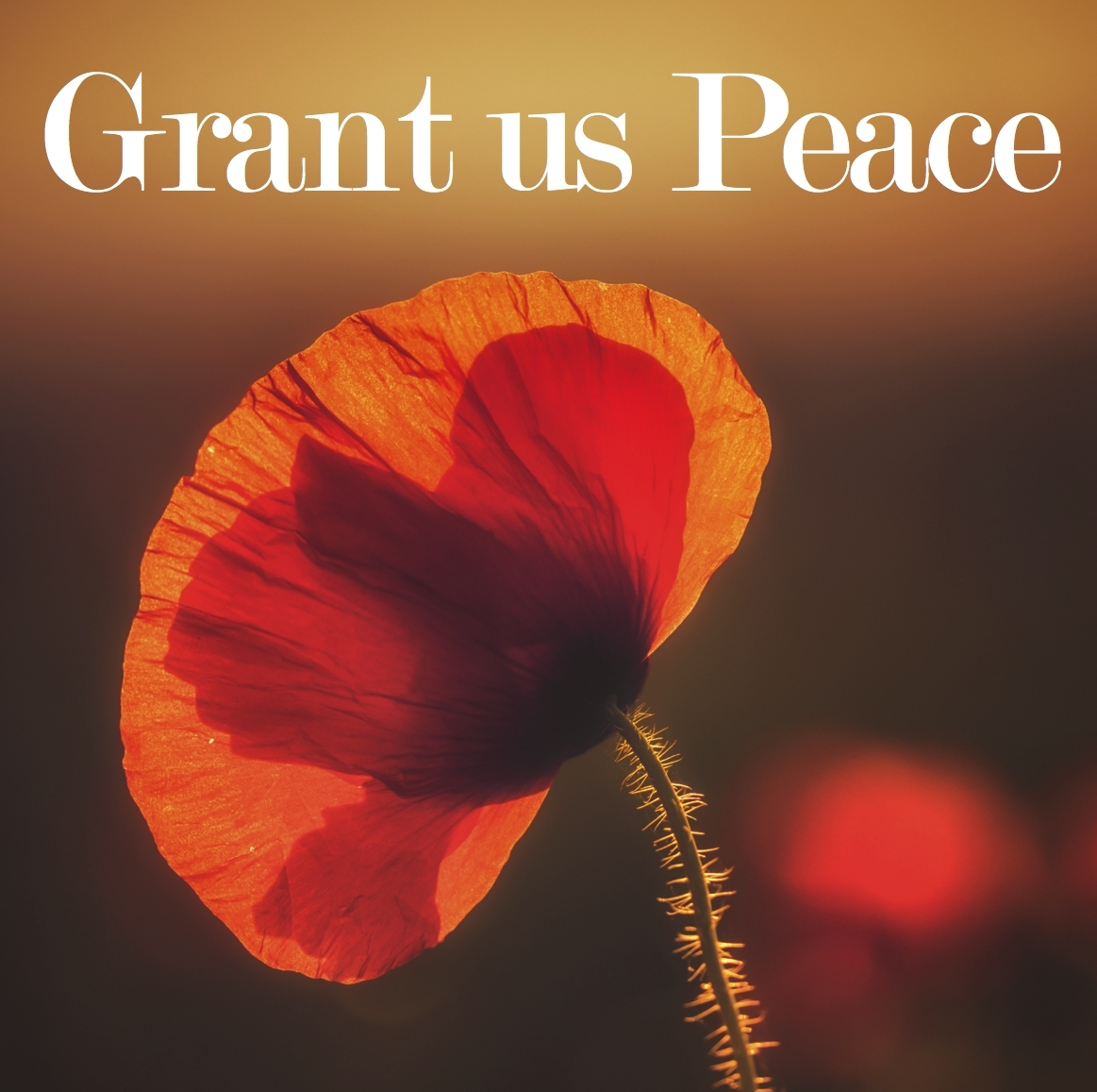 Grant us Peace: Reflective music to mark the ending of the 1st World ...