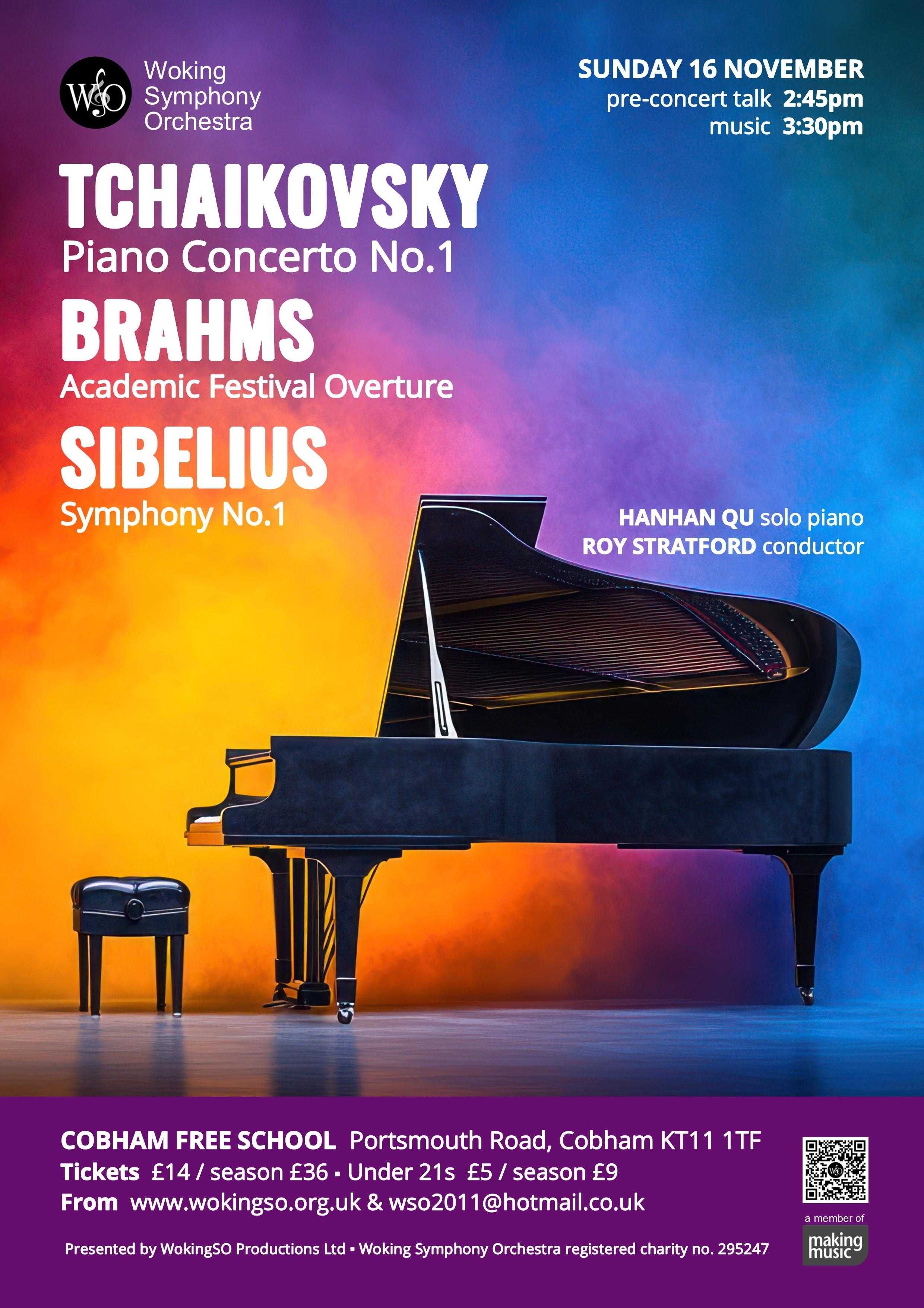 Woking Symphony Orchestra Autumn Concert at Cobham Free School, Cobham ...